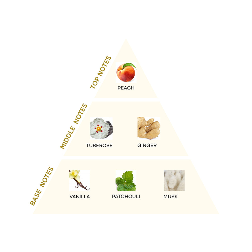 Best Perfume for Men and Women India | Luxury Perfumes | Sere Perfume